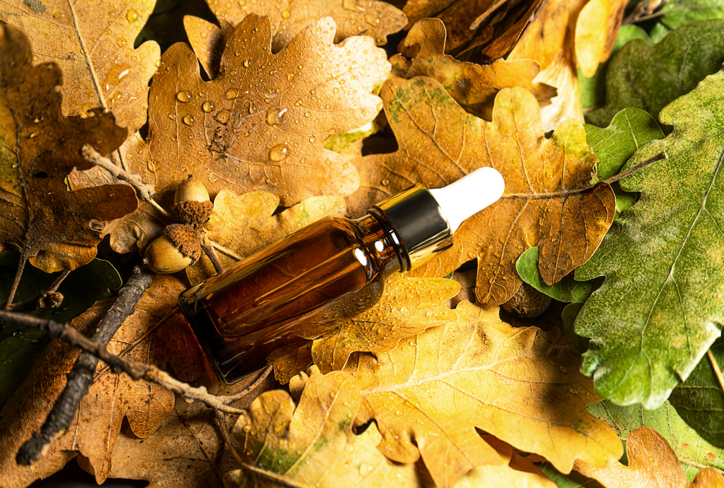Autumn Skincare Essentials: Transitioning Your Routine for a Radiant F ...